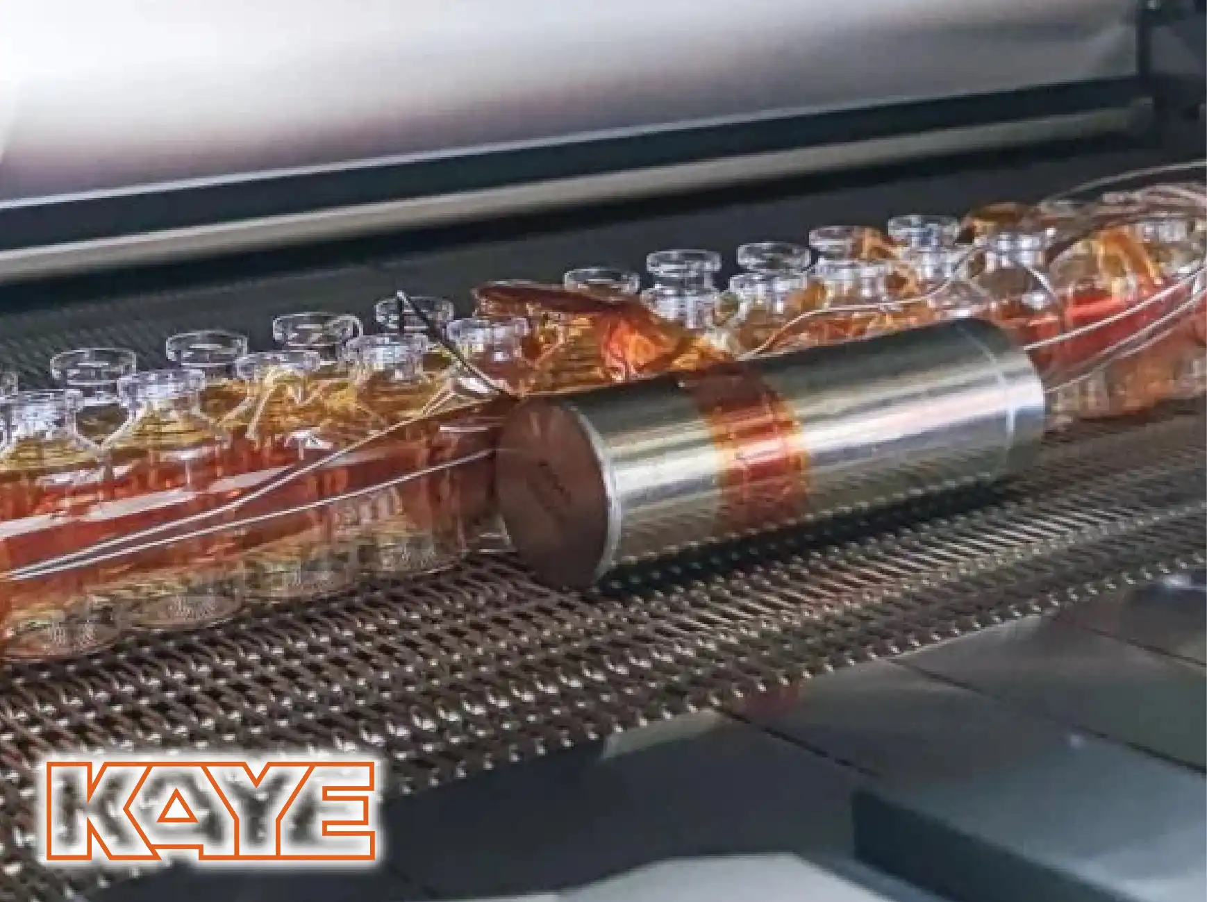 KAYE Wireless (RF) ValProbe RT System