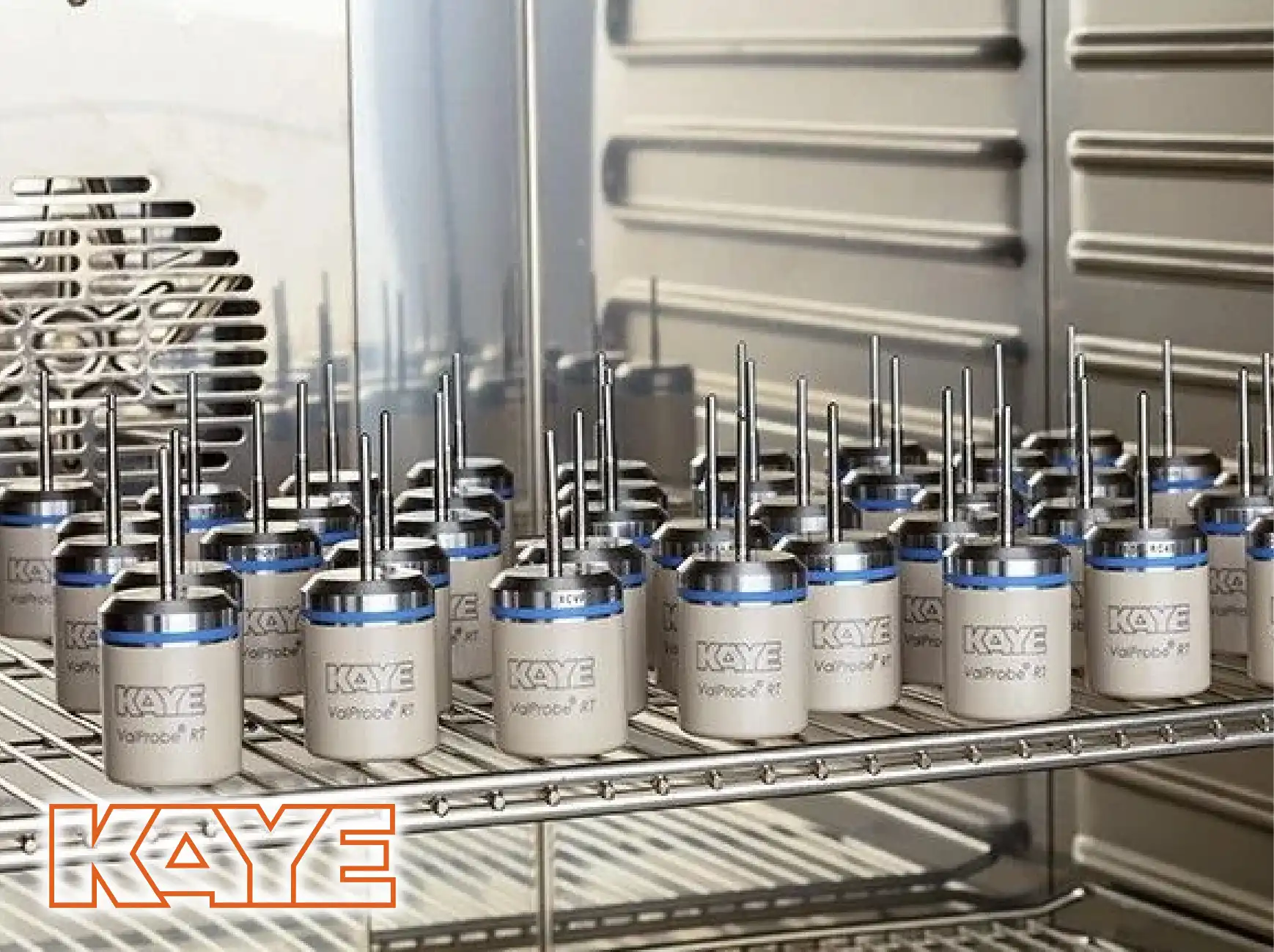 KAYE Wireless (RF) ValProbe RT System
