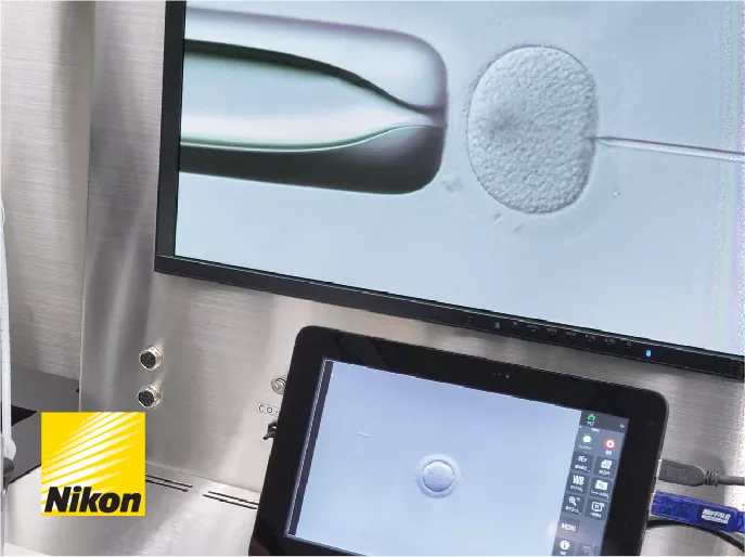 Nikon Inverted Microscopes for ICSI station