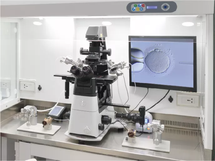 Nikon Inverted Microscopes for ICSI station