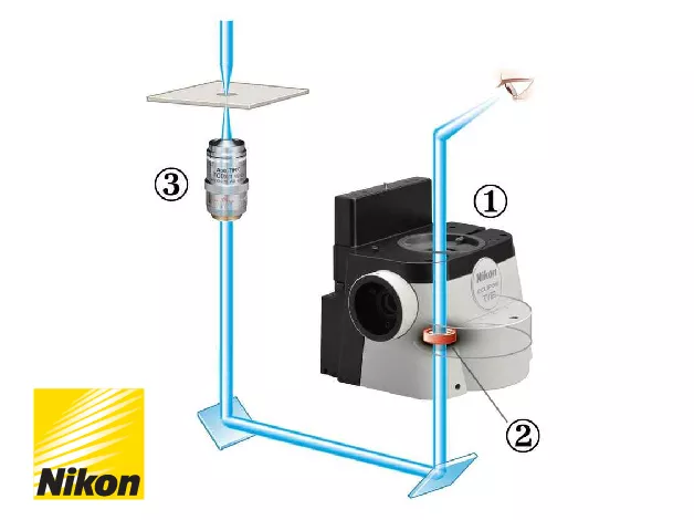 Nikon Inverted Microscopes