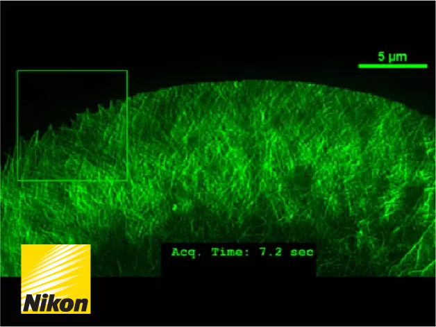 Nikon Super-Resolution Microscopes