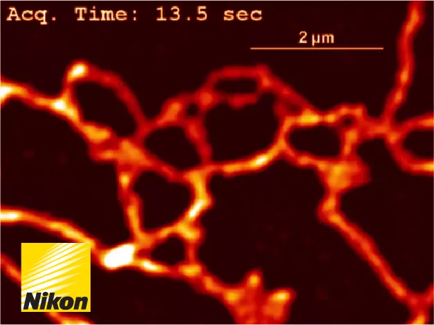 Nikon Super-Resolution Microscopes