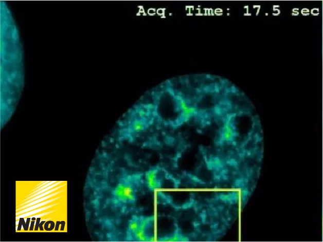 Nikon Super-Resolution Microscopes