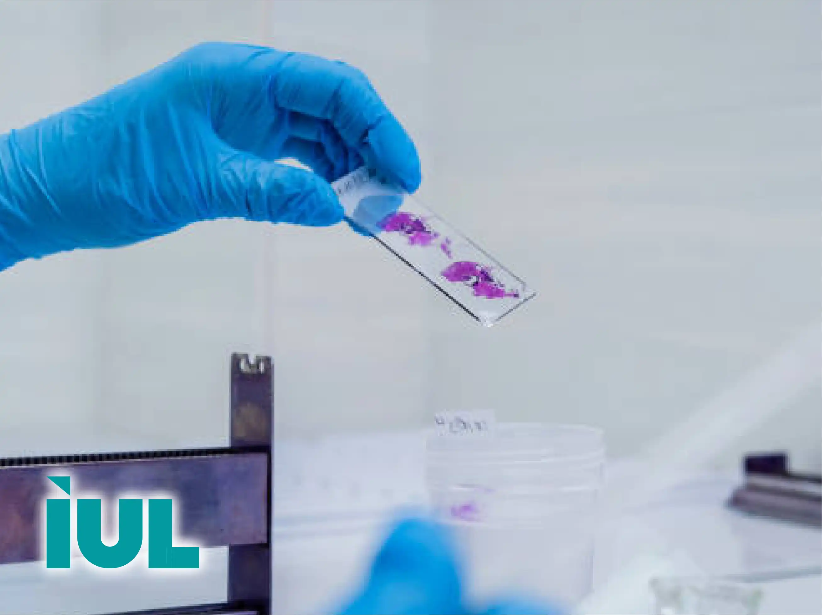 IUL Slide Staining
