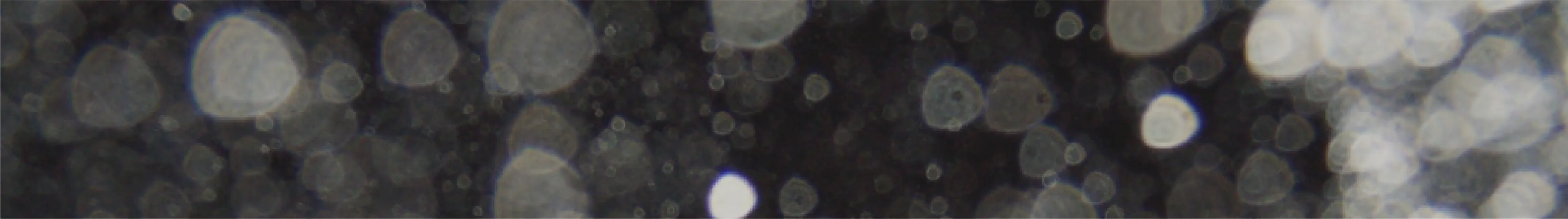 PMS Particle Counters - Air and Gas