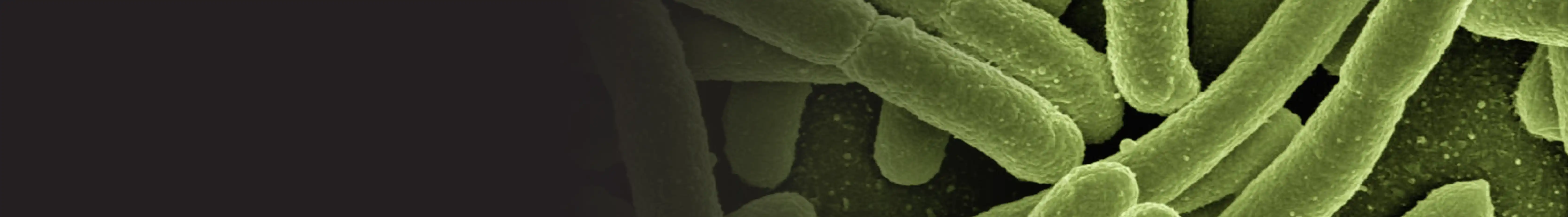 Horiba Elemental Analysis Solutions